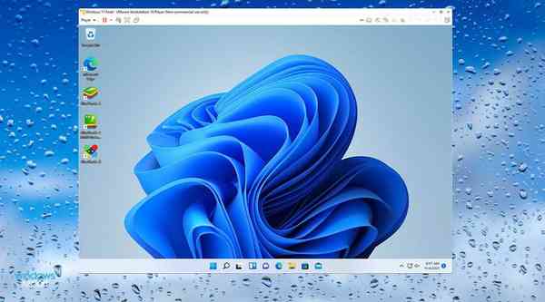 4 个在 Windows 11 上完美运行的最佳 VM_科技分享_晓说杂谈